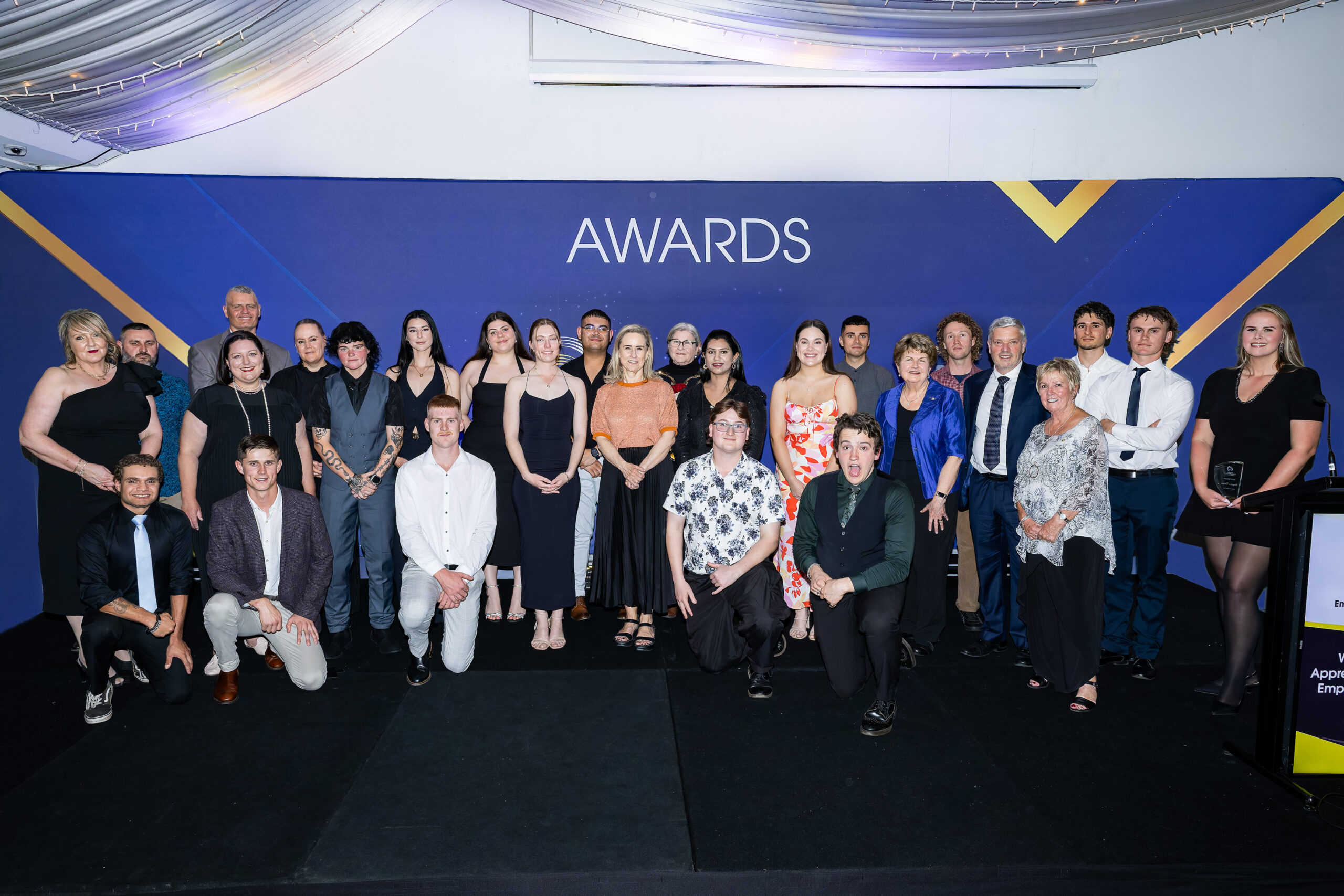 Congratulations 2024 Awards for Excellence Finalists and Winners ...